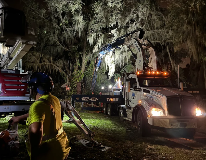 24/7 Emergency Tree Service in Blue Mountain, MS | Garrison McKinney